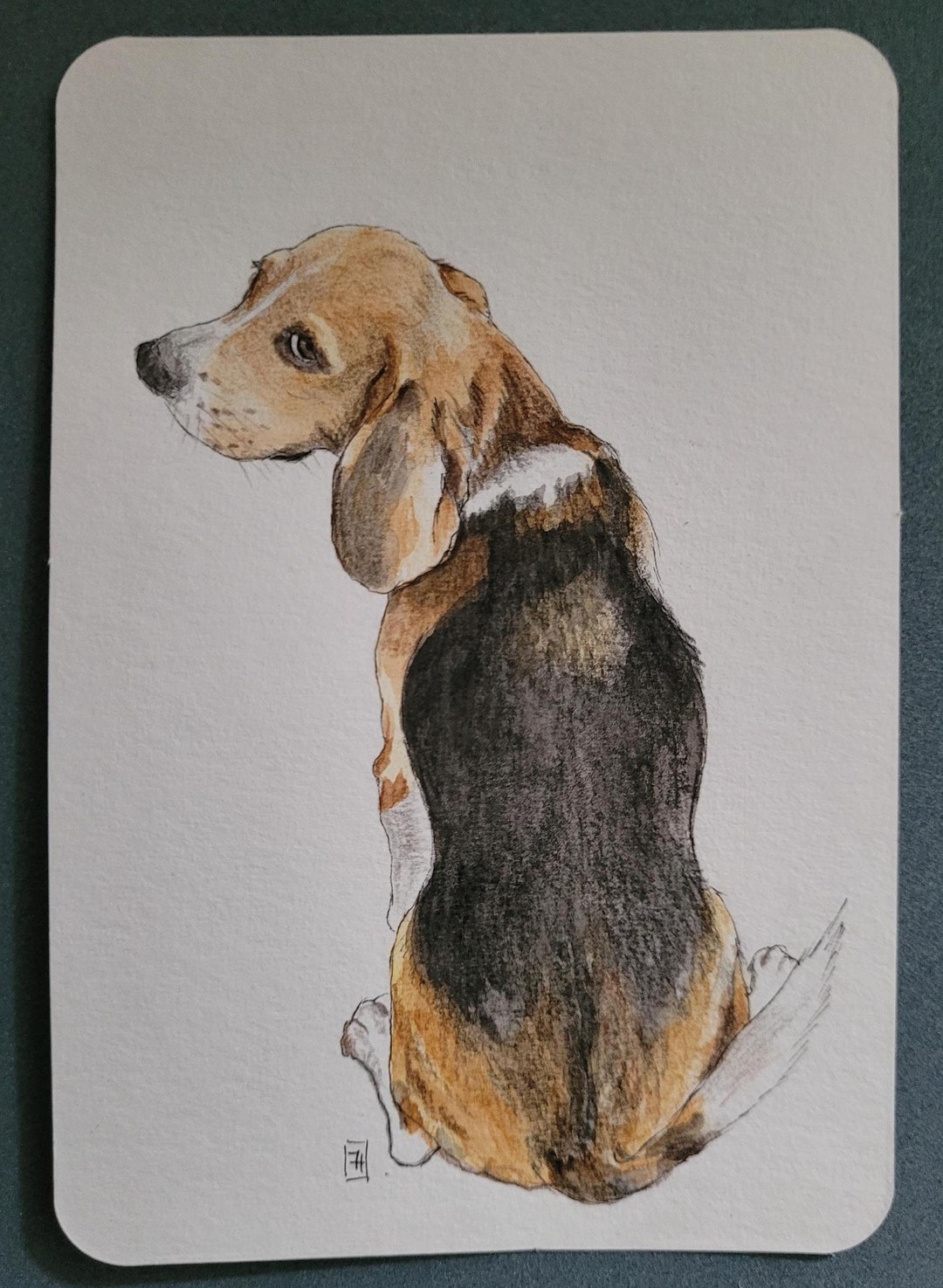 Beagle Sitting, Watercolor and Colored Pencils, Original Drawing ...