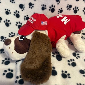 MAGA Dog Coat With Matching Hat Size: Small - Etsy