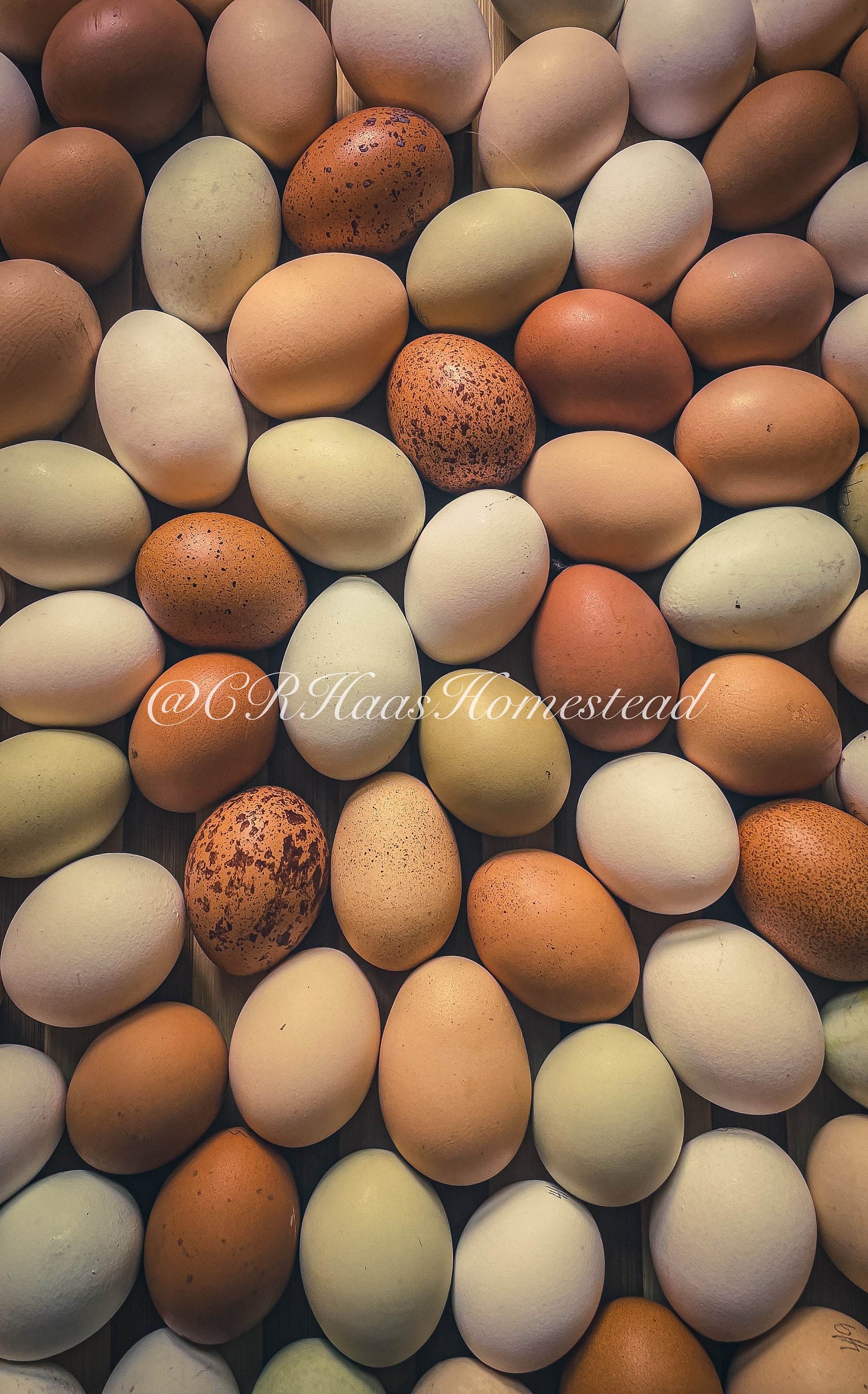 Egg Background, Chicken Eggs, Decor, Wall Decor, Farmhouse Decor ...