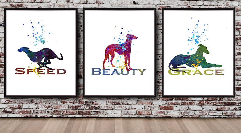 Greyhound Watercolor PRINT Series, Speed Beauty Grace Words, Painting ...