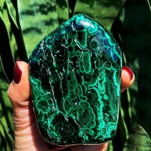 Malachite Crystal - for Major Healing, Transformation, and Protection ...