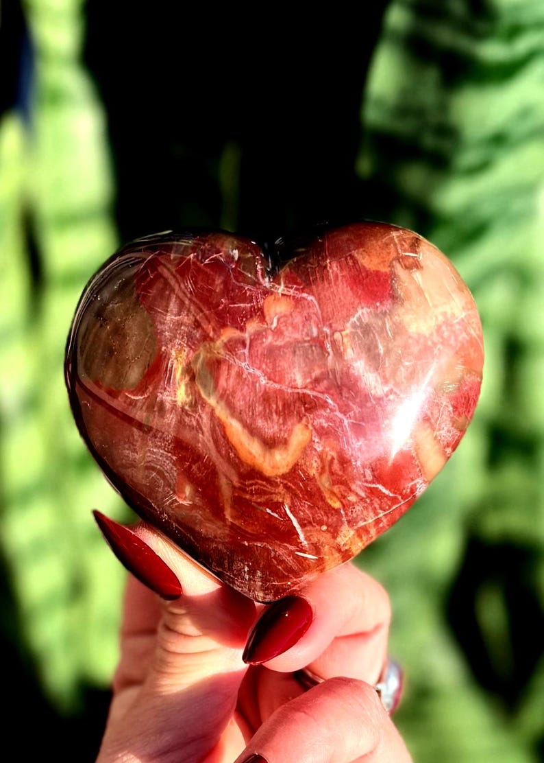 Petrified Wood Heart - for Grounding & Balancing Energy - Root Chakra ...