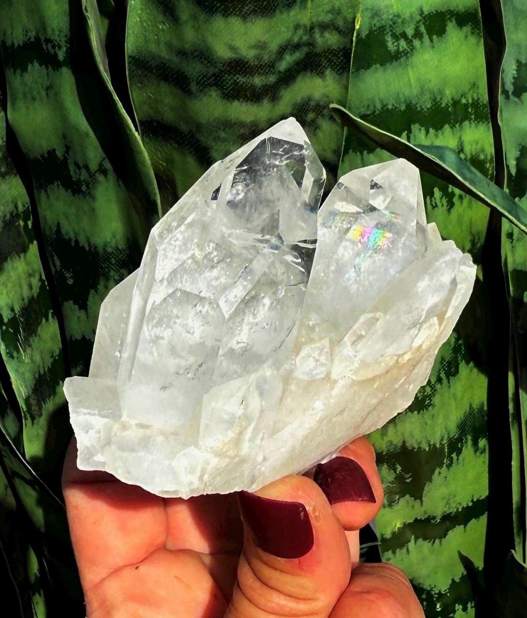 Quartz Crystal Cluster - Clear Quartz Crystal for Healing & Magnifying ...