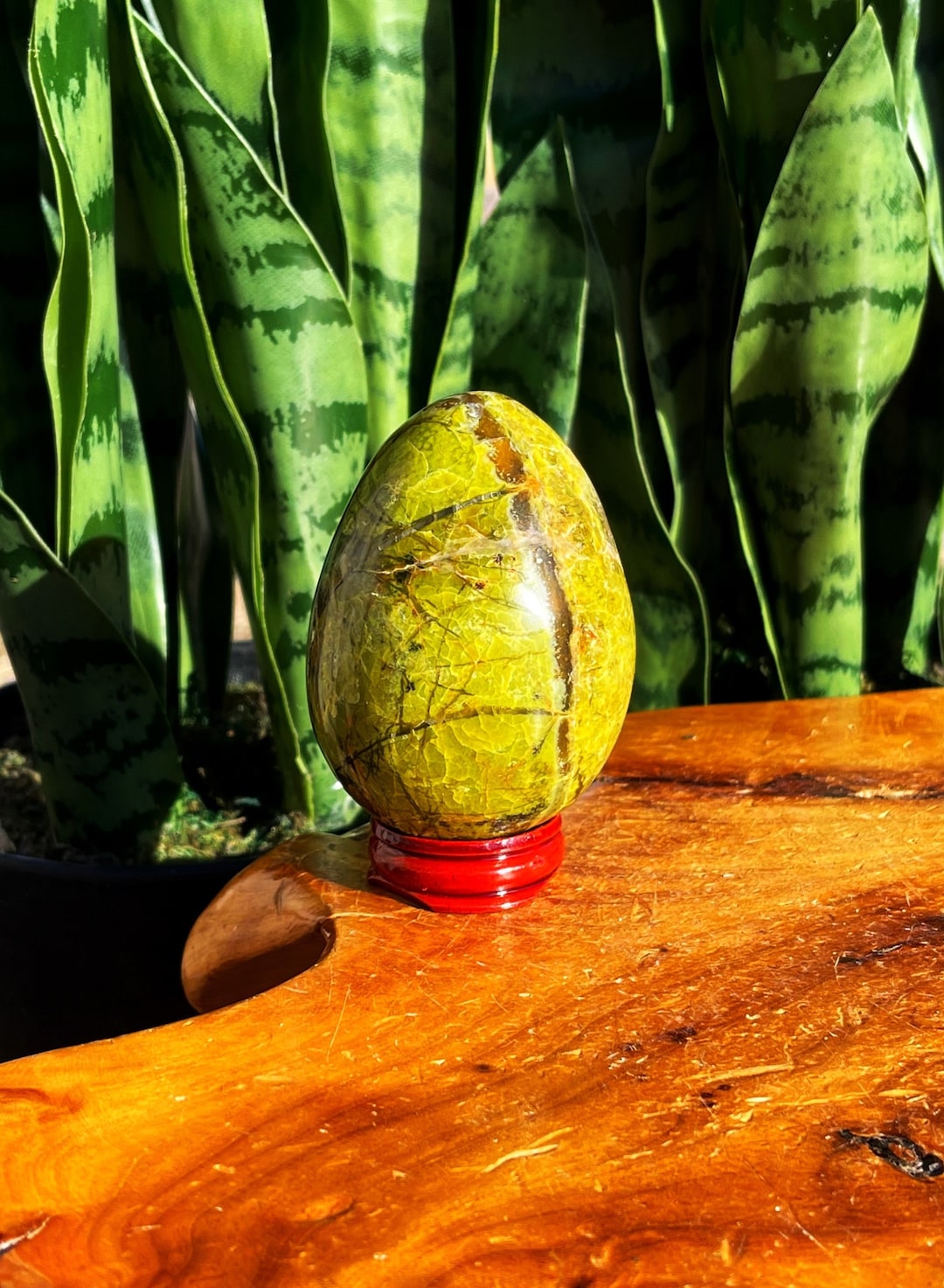 Green Opal Egg W/ Stand for Balanced Emotions, Healing, and Strength ...