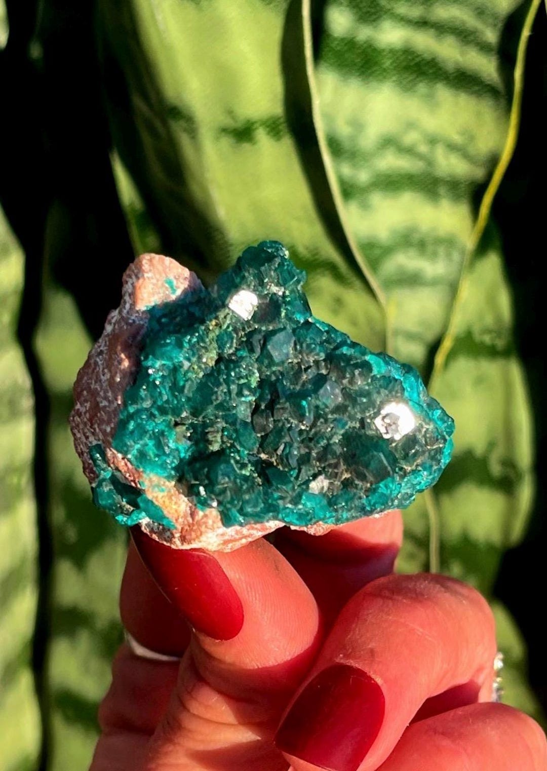 Dioptase Crystal Cluster - for Living in the NOW & Becoming More ...