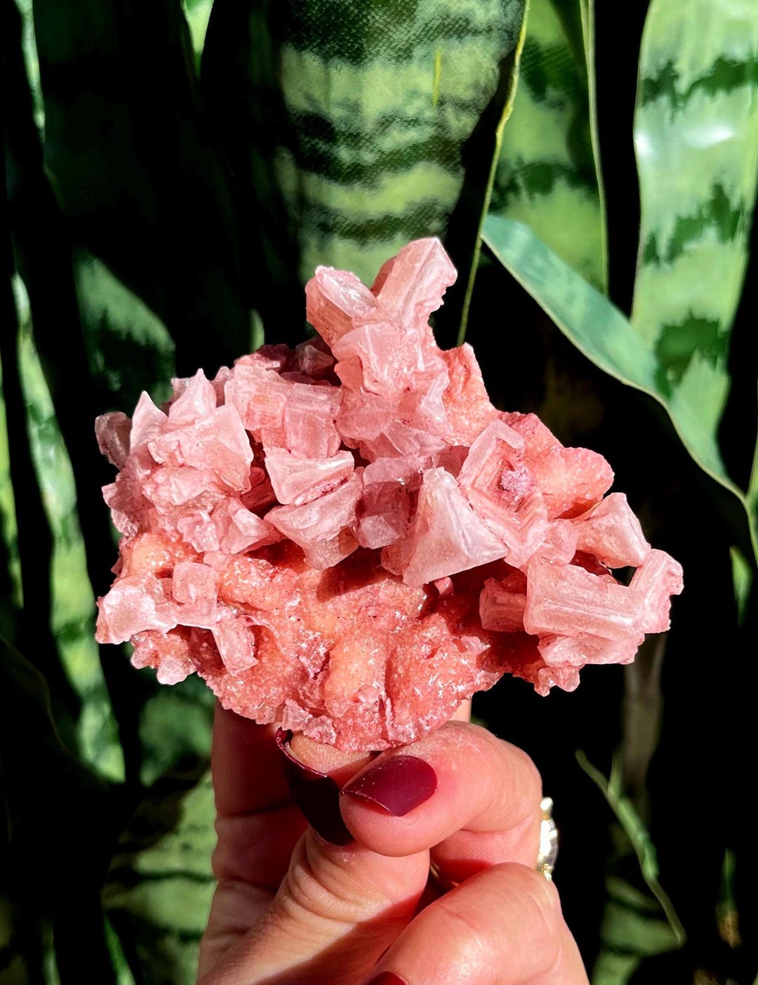 Halite Crystal - Cubic Cluster - for Cleansing the Aura, Deflect ...