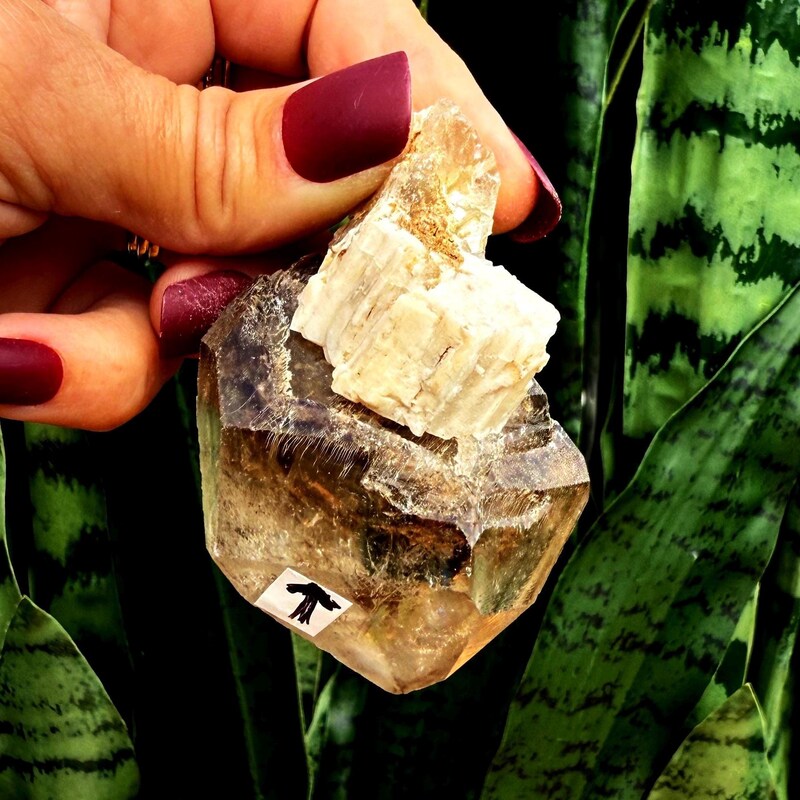 SpiritBodyBliss - Etsy