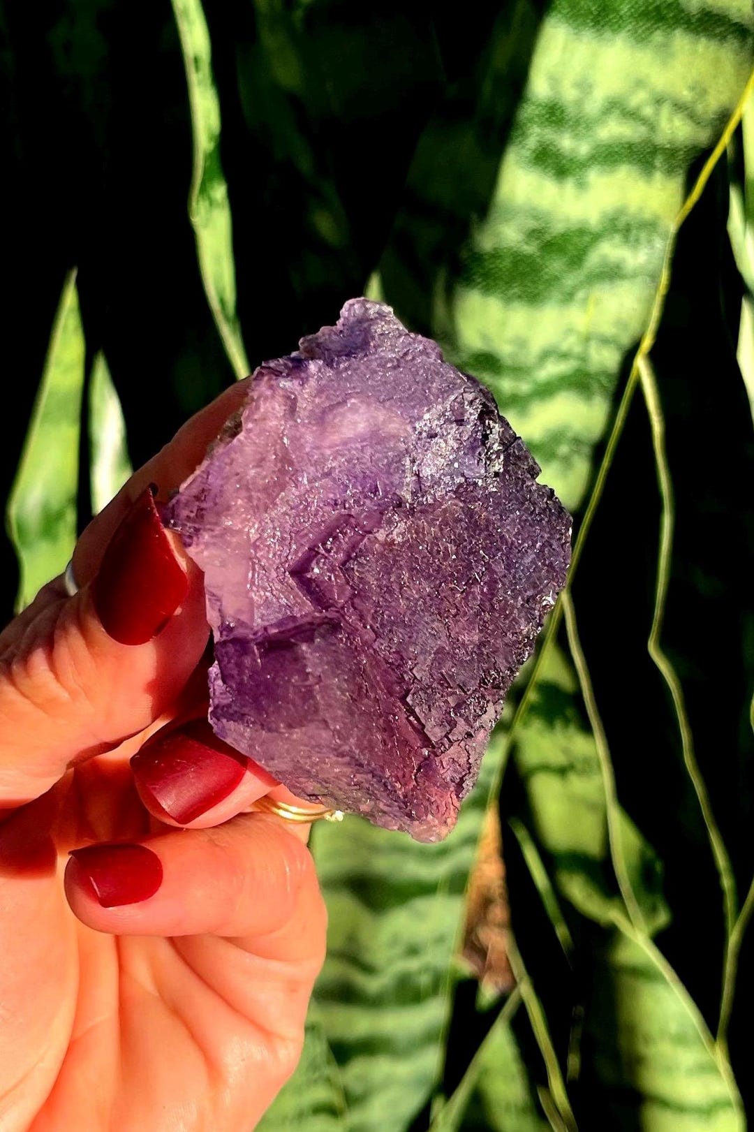 Purple Fluorite Crystal - Cubic Fluorite - for Discovering and ...