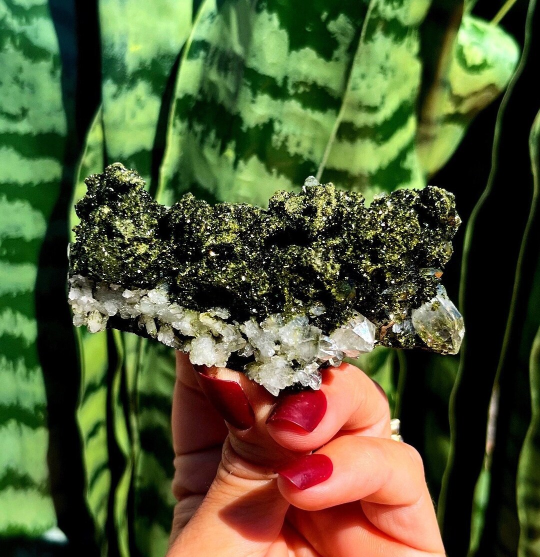 Forest Epidote W/ Quartz Crystal Energetic Protection, Manifestation ...