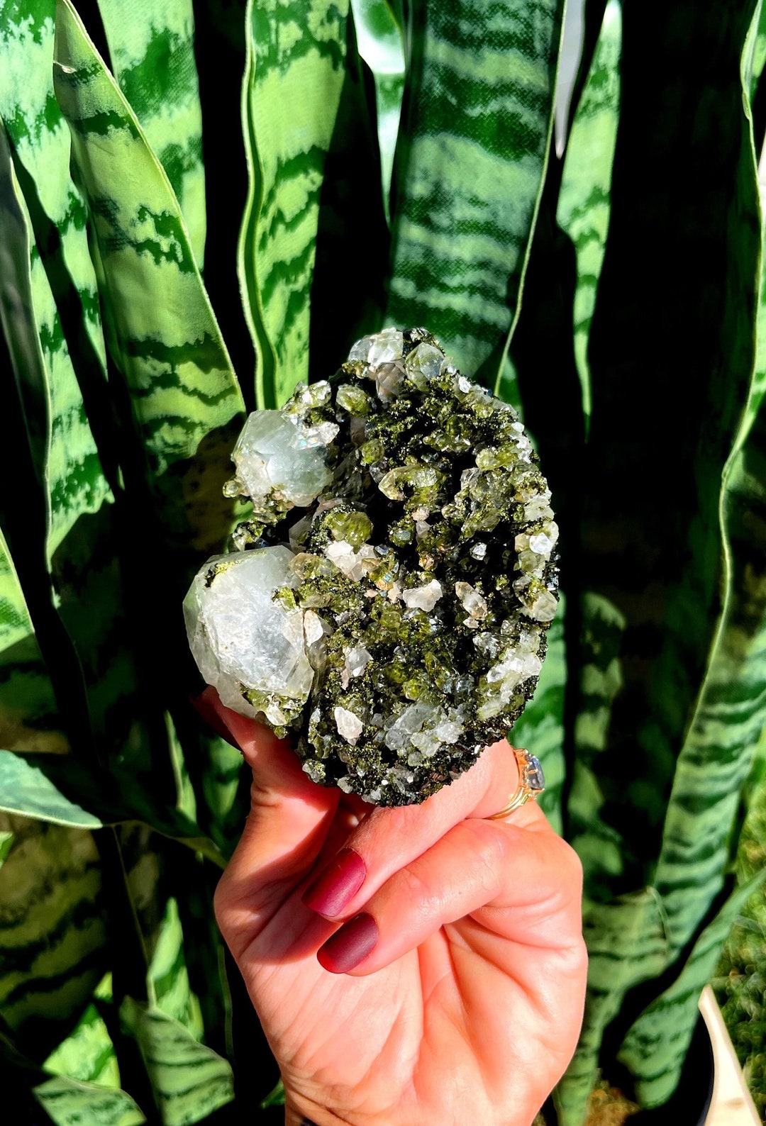 Forest Epidote W/ Quartz Crystal Energetic Protection, Manifestation ...