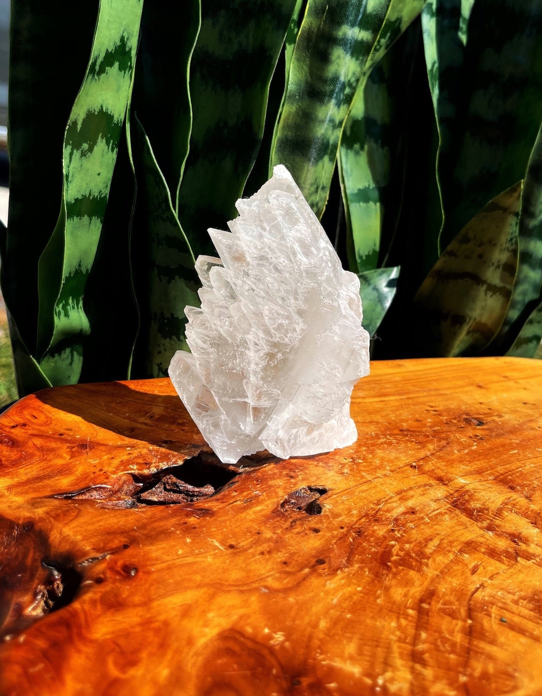Ice Selenite Crystal From Mexico for Cleansing Energy High Quality ...