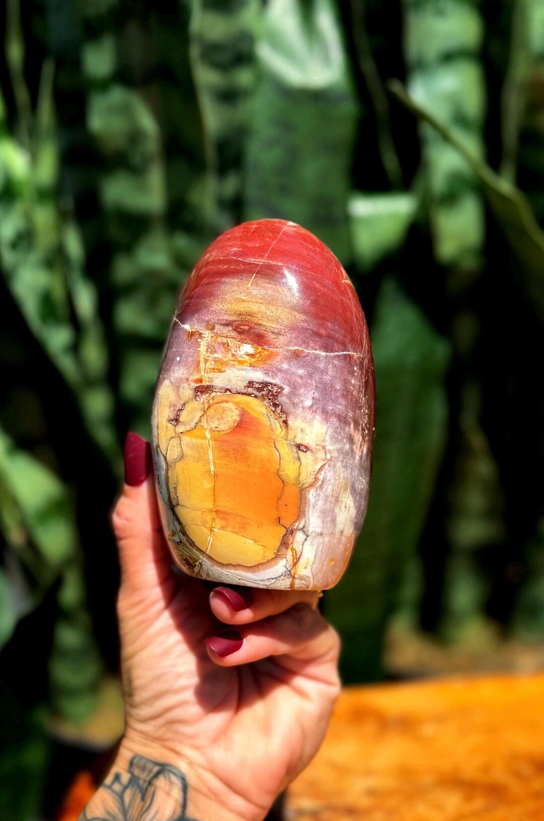 Petrified Wood Free Form - for Grounding & Balancing Energy - Root ...