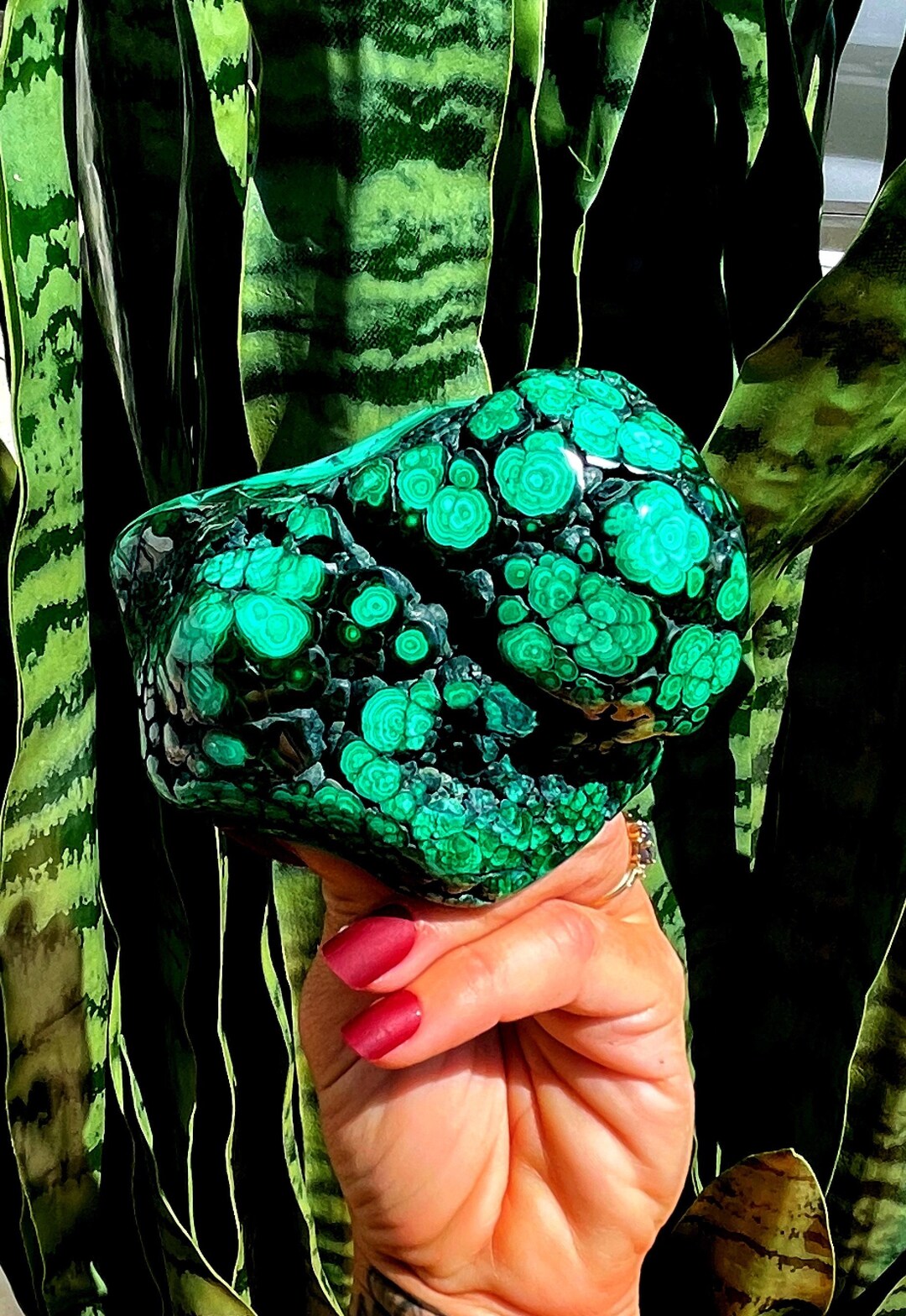 Malachite Crystal - for Major Healing, Transformation, and Protection ...