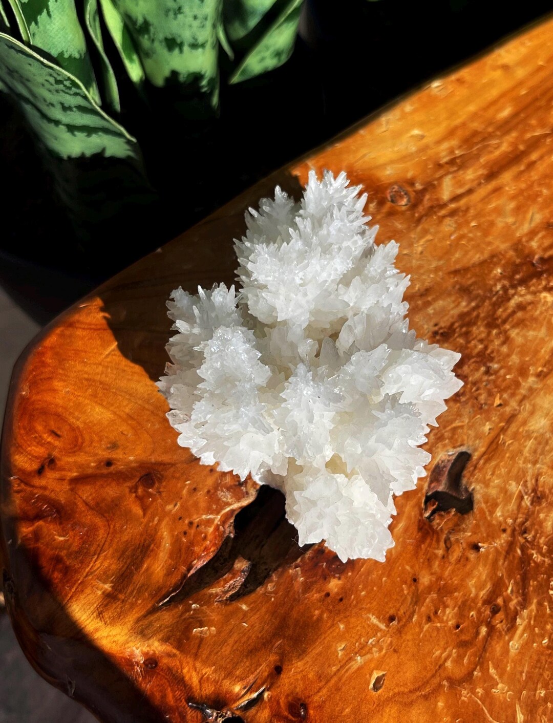 White Aragonite Aka Cave Calcite - Cleanses & Amplifies Energy ...