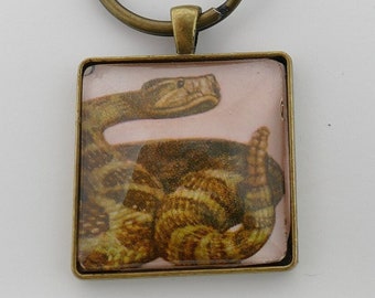X-large Open Mouth Western Diamondback Rattlesnake Keychain - Etsy
