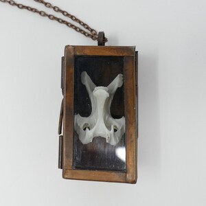 Seagull Vertebra Bone Shadowbox Pendant Necklace | Etsy