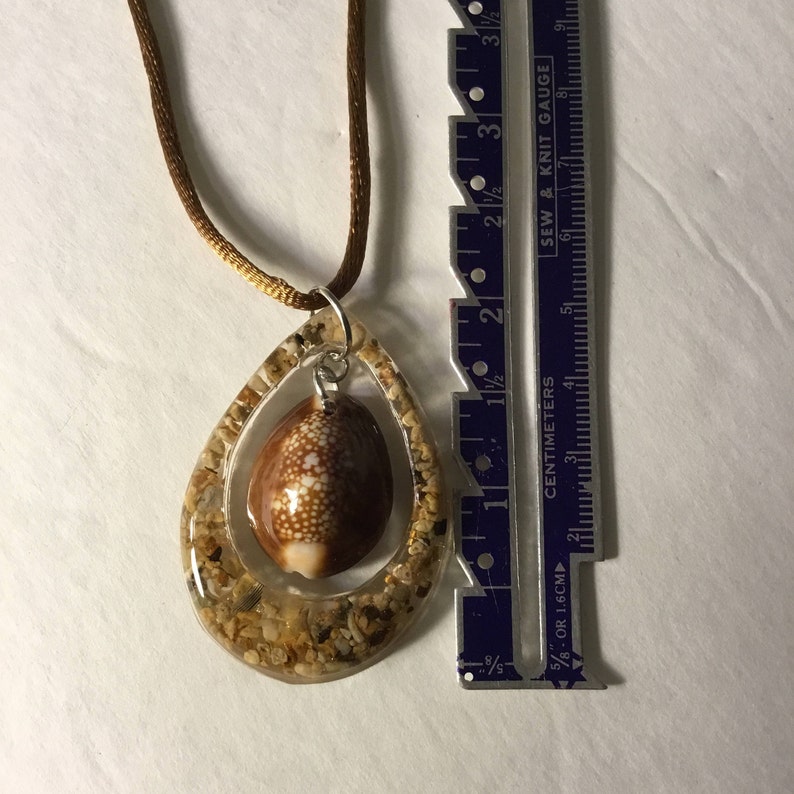 Hawaiian Snakehead Cowry Shell, Hawaiian Shell, Cowry Shell, Pendant ...