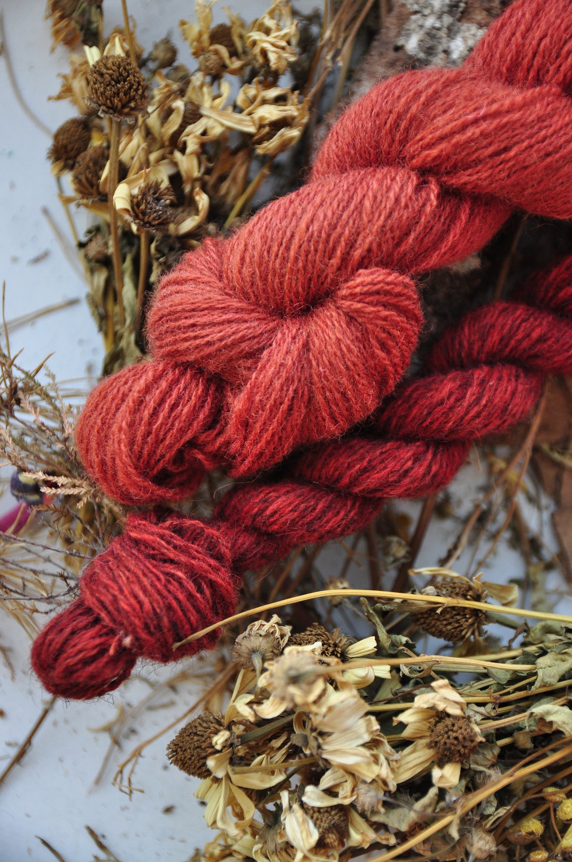 Sappanwood Natural Dyeing Instructions Scouring Wool and | Etsy