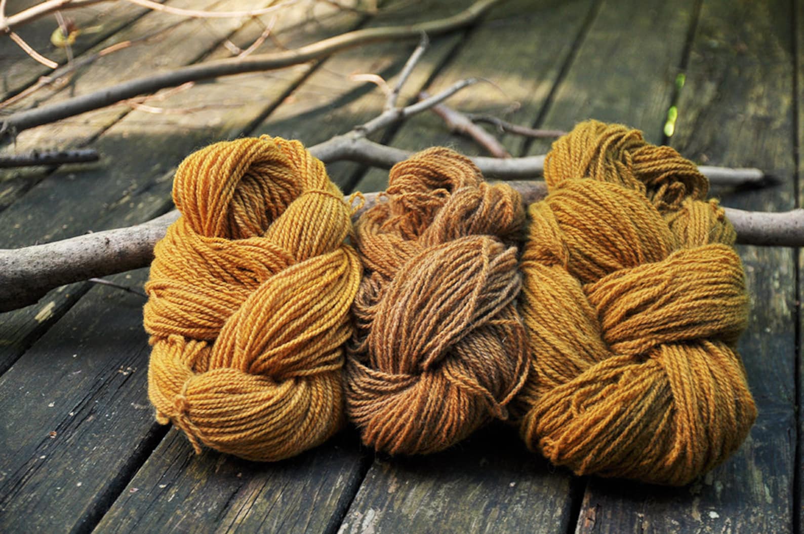 Goudsbloem natuurlijke kleurstof voor gele kleuren, oranje botanische ...