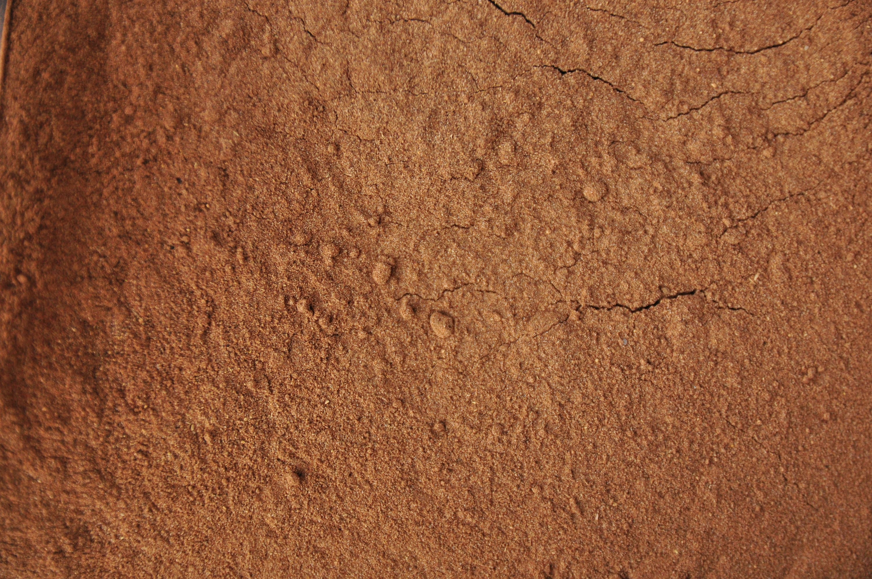 Quebracho Botanical Dye High in Tannins | Etsy