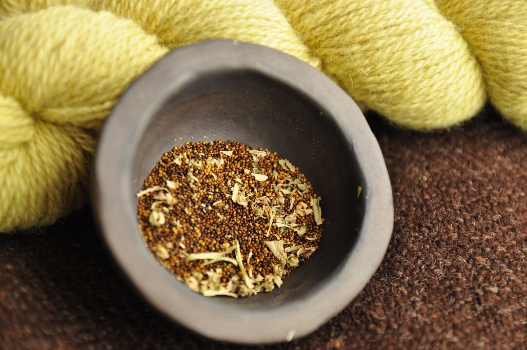 Weld ( Reseda Luteola ) Natural Dye Seeds for Natural Dyeing - Etsy