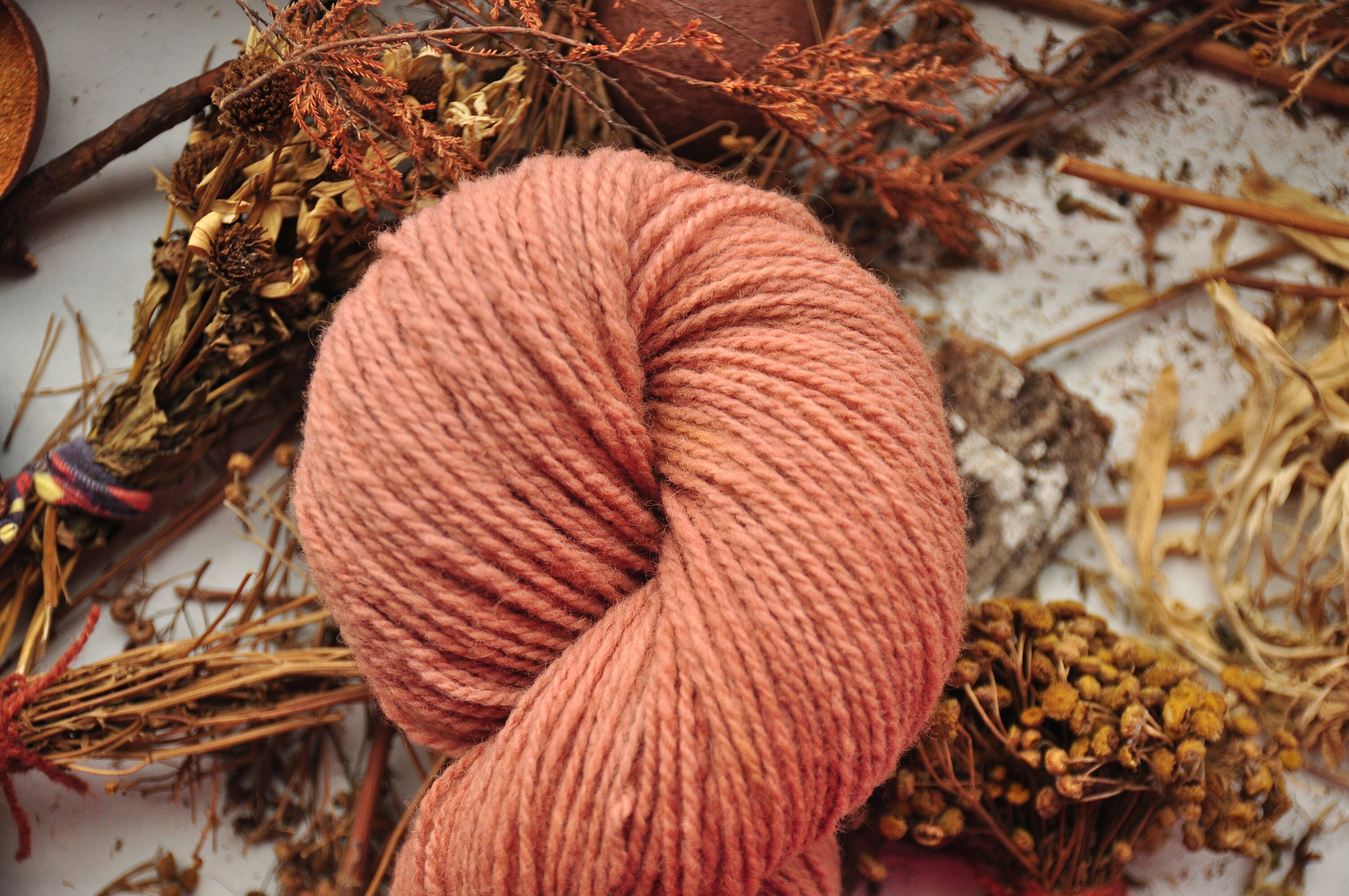 Sappanwood Natural Dyeing Instructions Scouring Wool and - Etsy