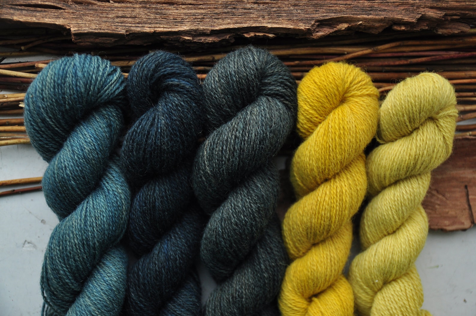 Weld ( Reseda Luteola ) Natural Dye Seeds for Natural Dyeing - Etsy