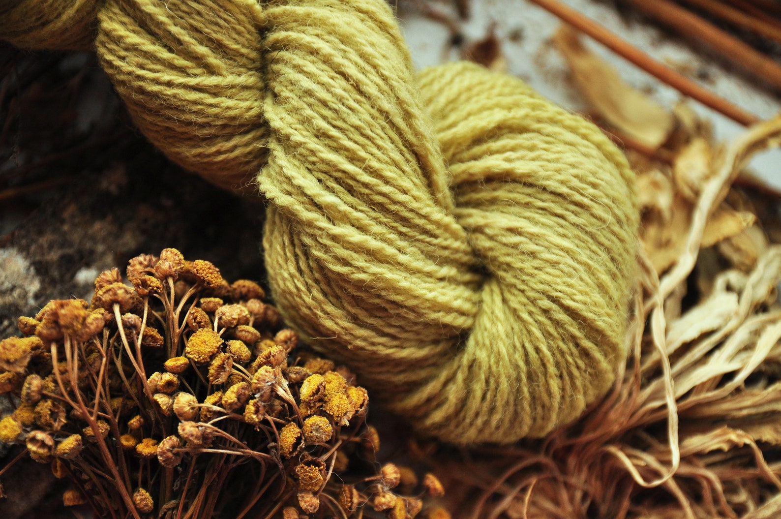 Goldenrod Natural Dye Yellow and Green Plant Dyes | Etsy