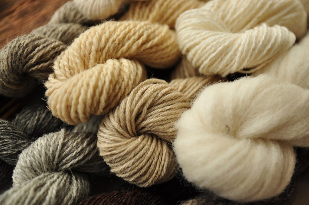 Undyed Wool Surprise Pack Mystery Box Full of Natural Fiber - Sheep ...