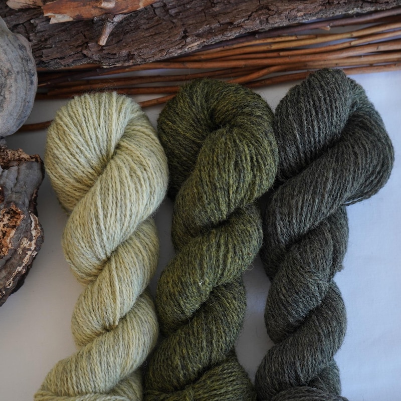 ForestsAndMeadows - Etsy