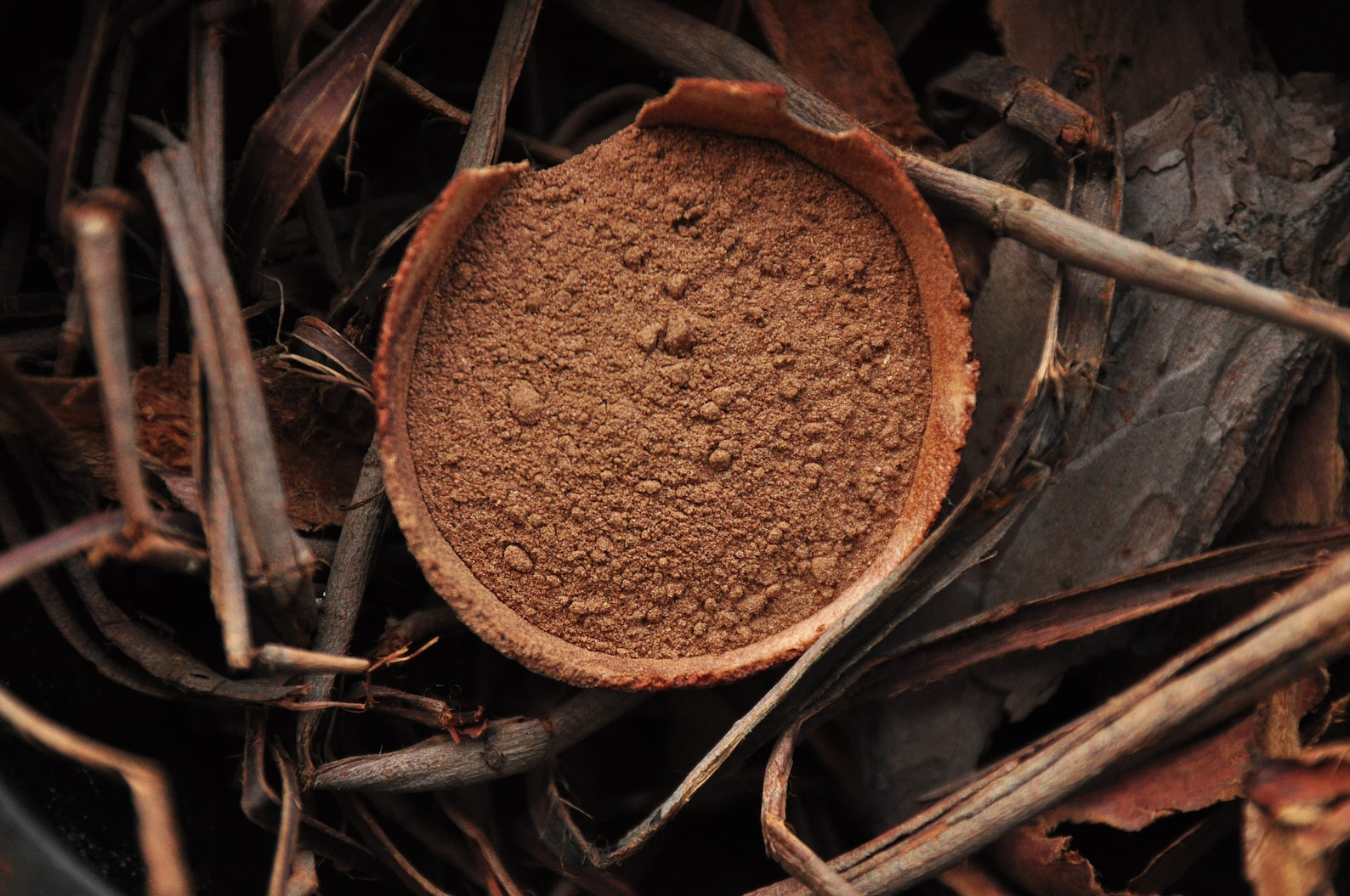 Quebracho Botanical Dye High in Tannins - Etsy
