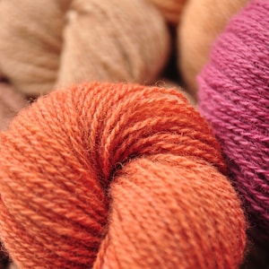 Sappanwood Extract for Bright Red, Crimson, Burgundy and Purple Colors ...