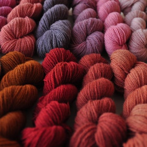 Pack of 5 Red Botanical Dyes - Indian Madder, Sappan, Alkanet, Lac ...
