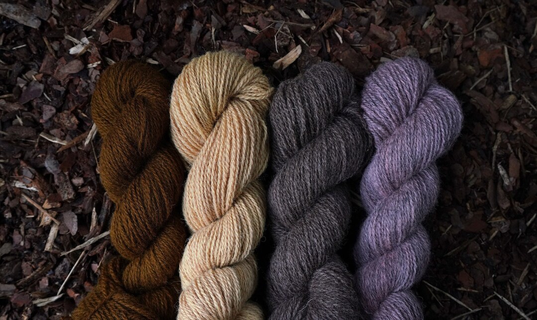 Plant Dyed Wool Yarn Set "heather Field" in Warm Earth Colors - Dark ...