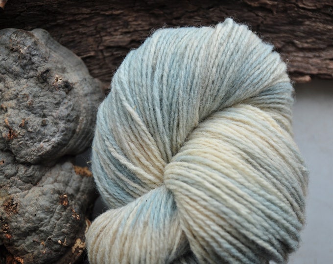 Handdyed Variegated Blue and White Wool Yarn in Worsted Weight / Plant ...