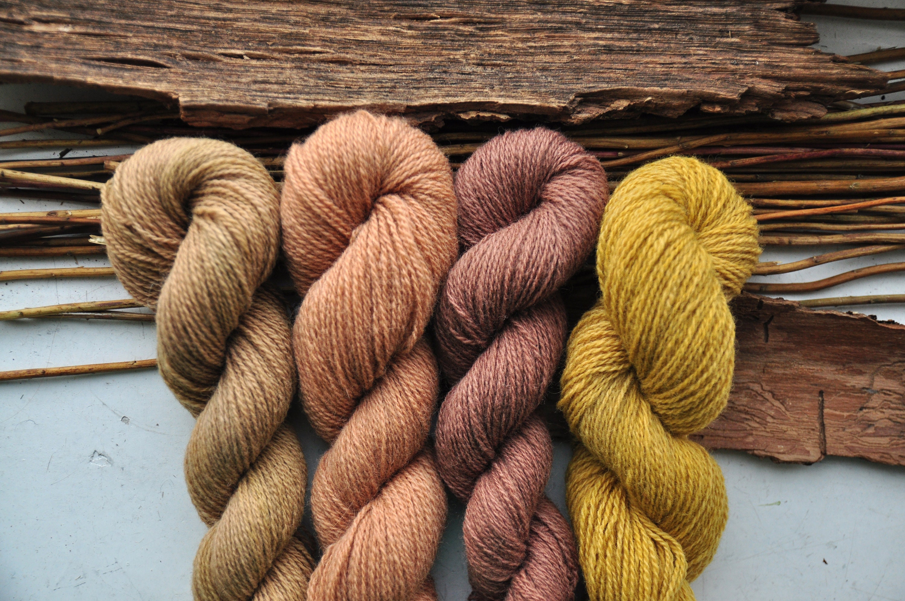 Easy to Grow Dyers Garden Seed Pack Weld Marigold Dyers | Etsy