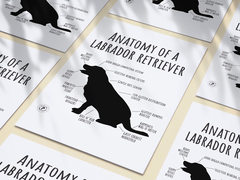 Digital Download Anatomy of a Labrador Retriever Sign 8x10 - Etsy Australia