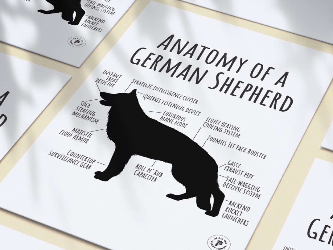 Digital Download, Anatomy of a German Shepherd Sign, 8x10, German ...