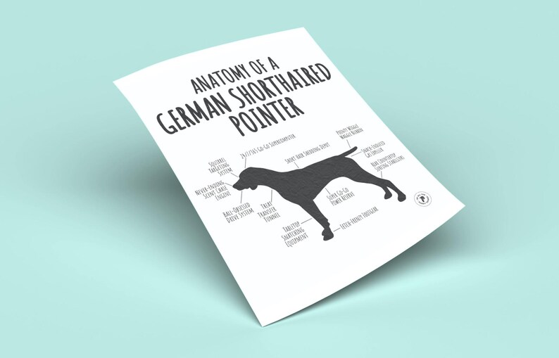 German Shorthaired Pointer Art: Dog Silhouette Digital Download - Etsy