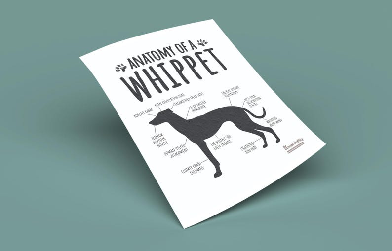 Whippet Art: Dog Silhouette Digital Download - Etsy