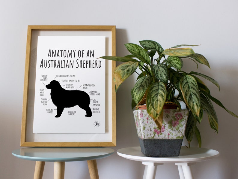 Digital Download, Anatomy of an Australian Shepherd Sign, 8x10 ...