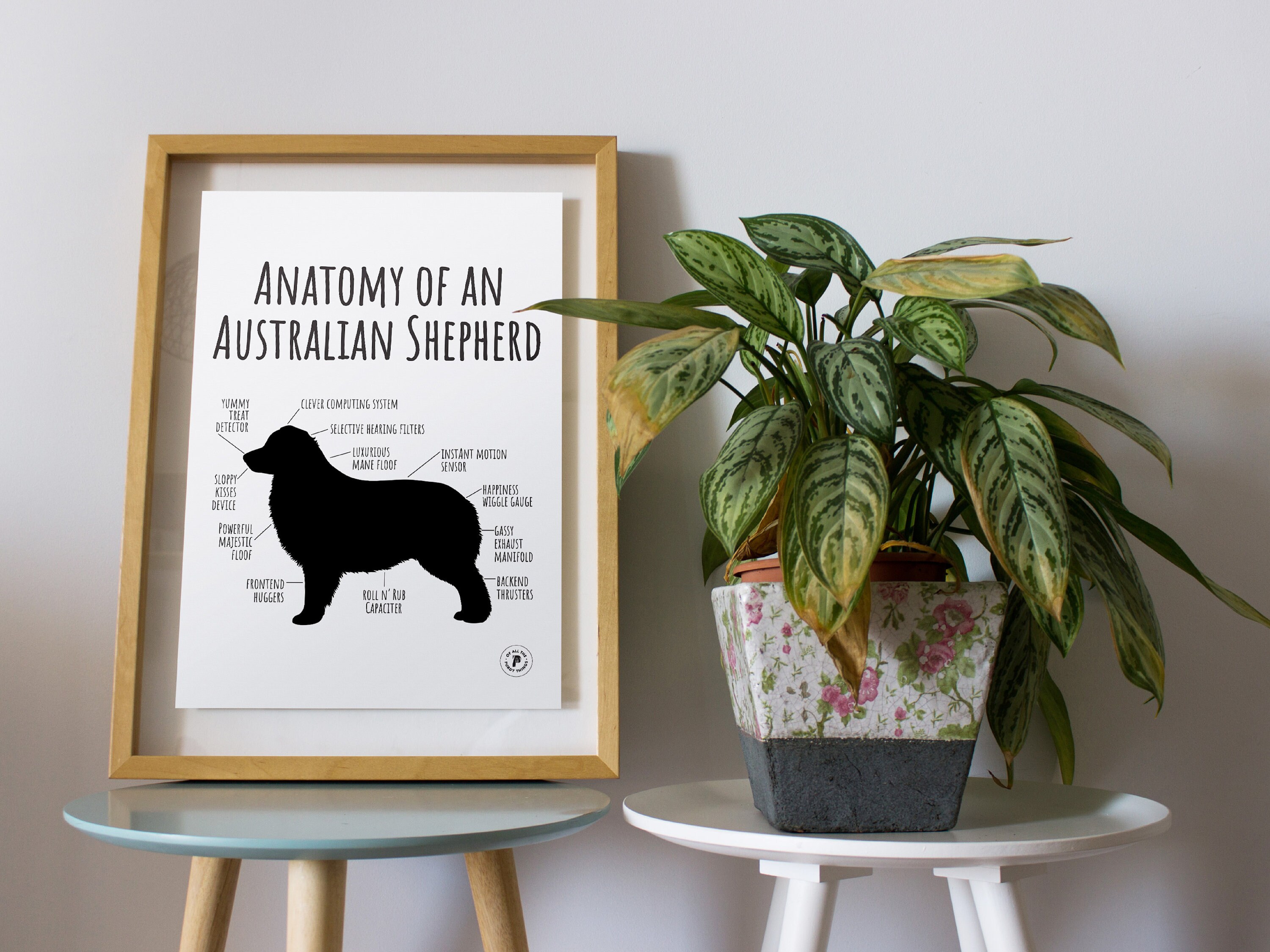Digital Download, Anatomy of an Australian Shepherd Sign, 8x10 ...