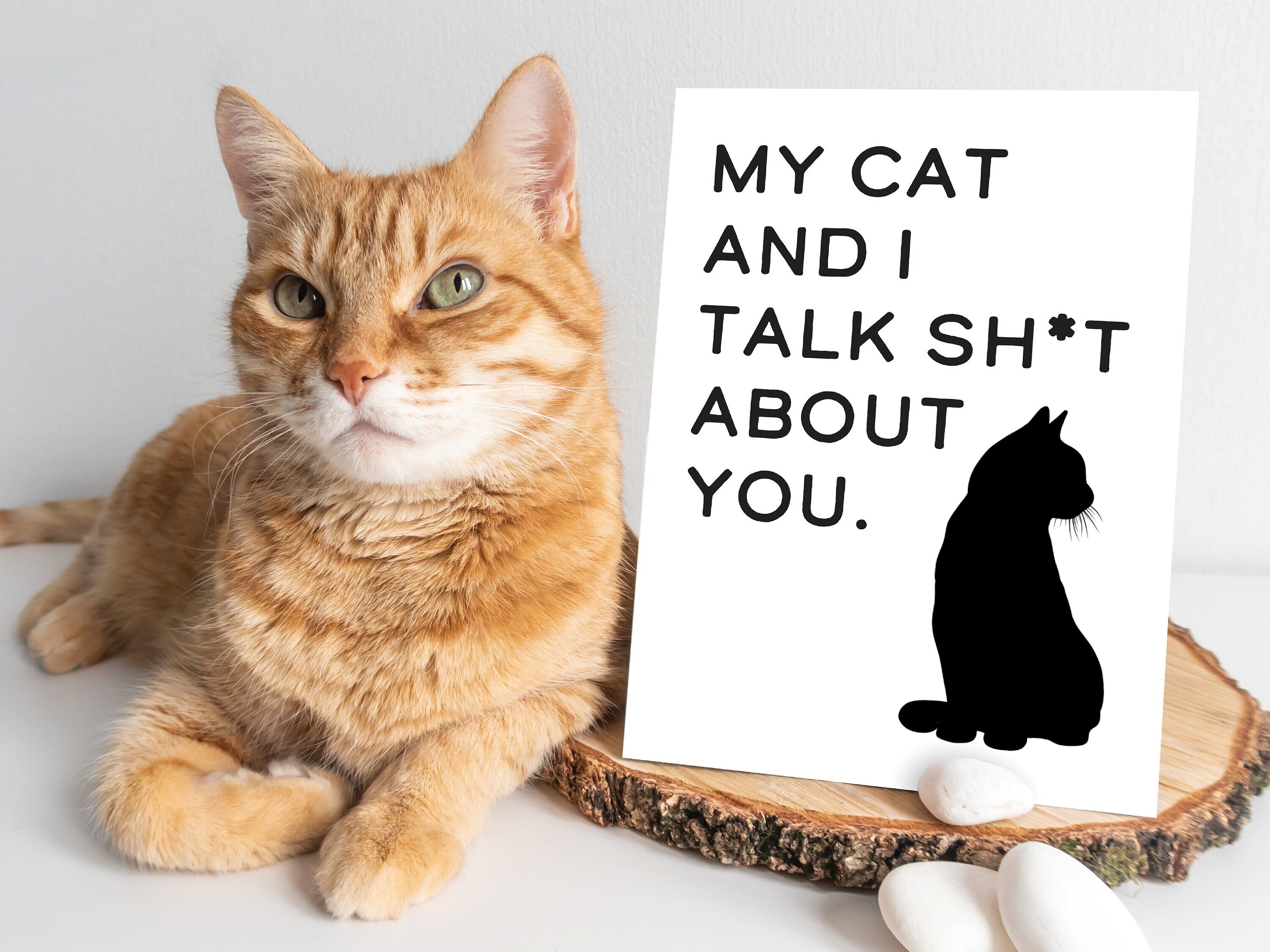 Digital Download, Cat Sign, Sign, My Cat and I Talk Sht About You, 8x10 ...