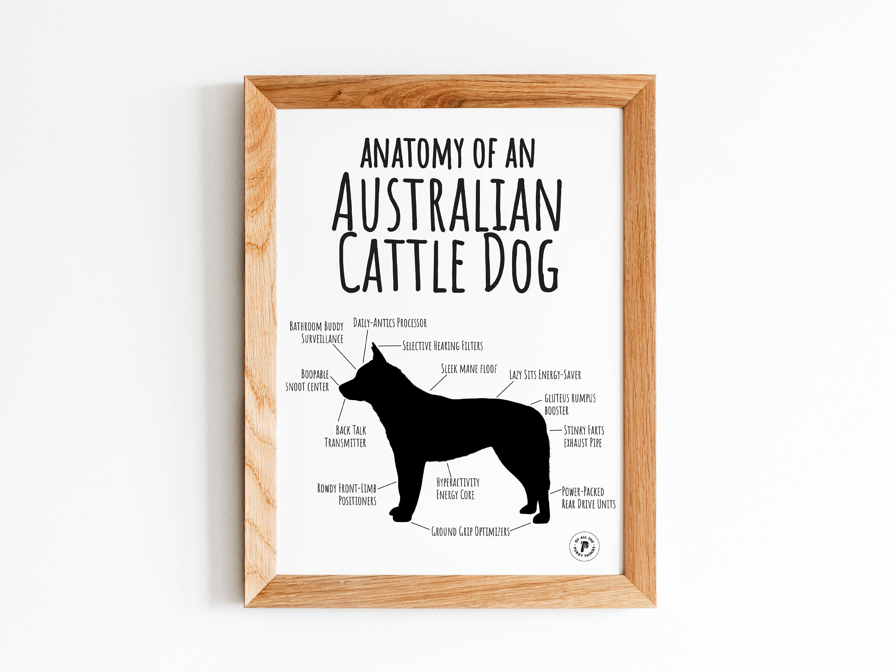 Australian Cattle Dog Anatomy Print 8x10 Dog Art Print Instant Download ...