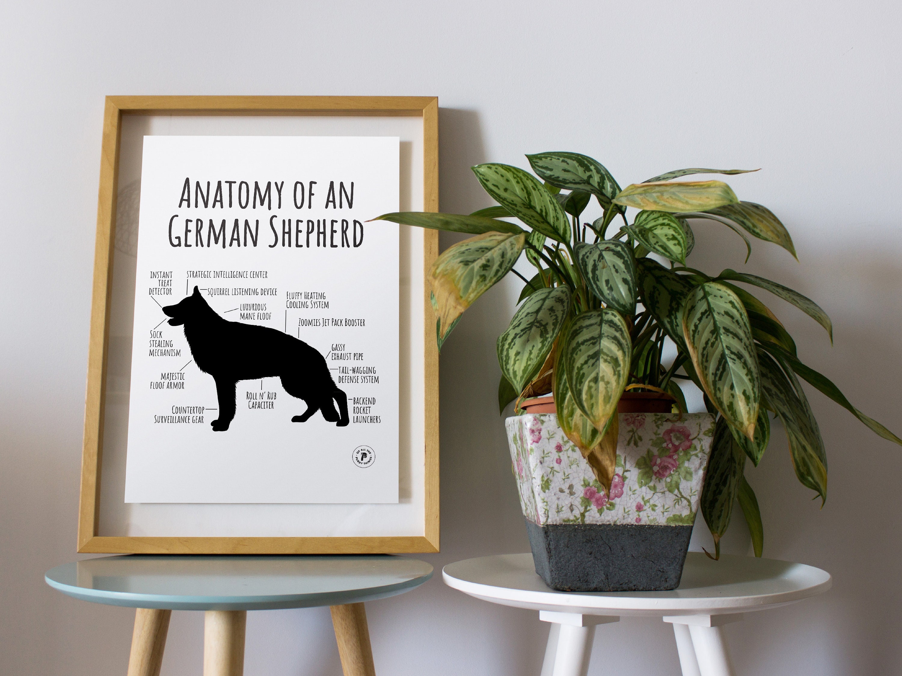 Digital Download, Anatomy of a German Shepherd Sign, 8x10, German ...