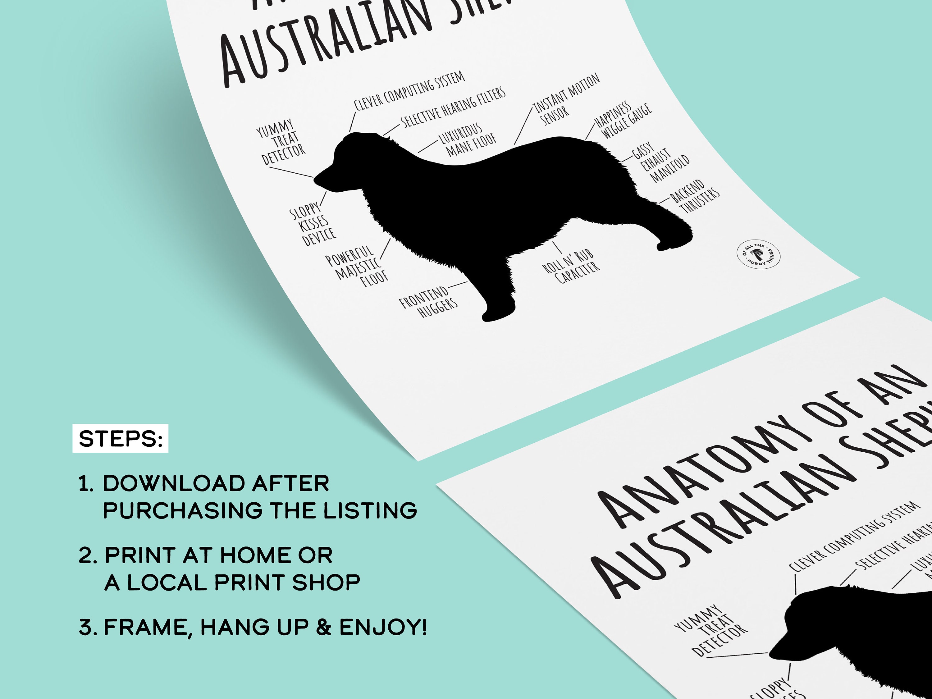 Digital Download, Anatomy of an Australian Shepherd Sign, 8x10 ...