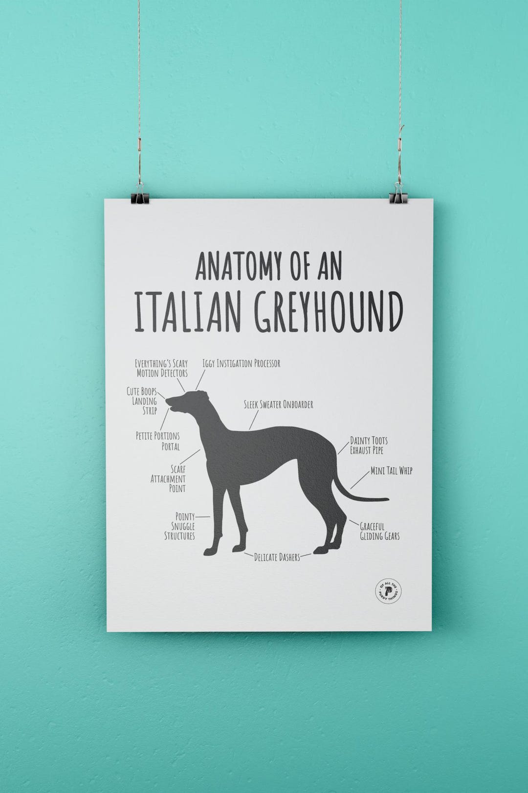 Italian Greyhound Print, Dog Fun Cute Anatomy Chart, Breed Funny Poster ...