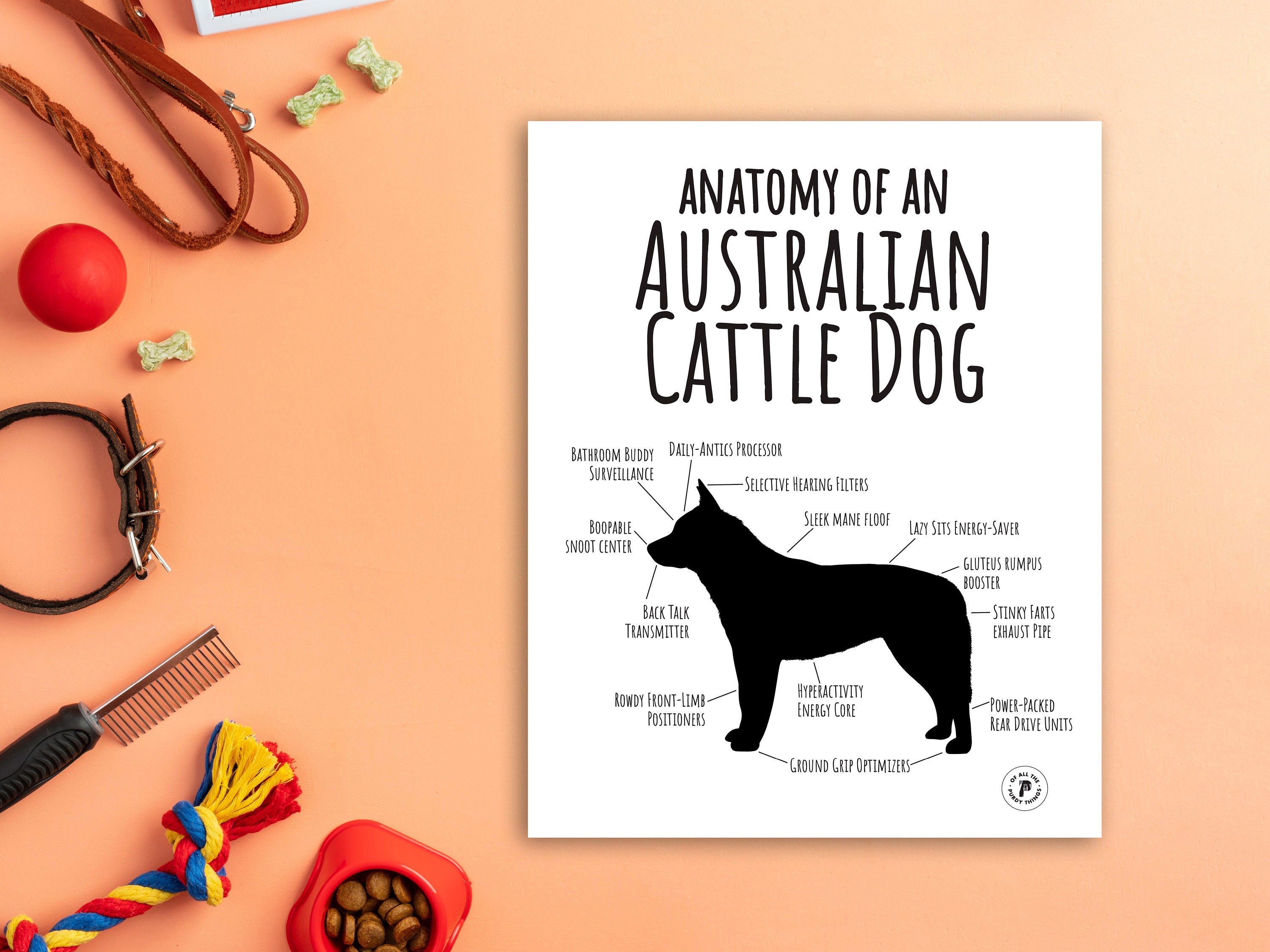 Australian Cattle Dog Anatomy Print 8x10 Dog Art Print Instant Download ...