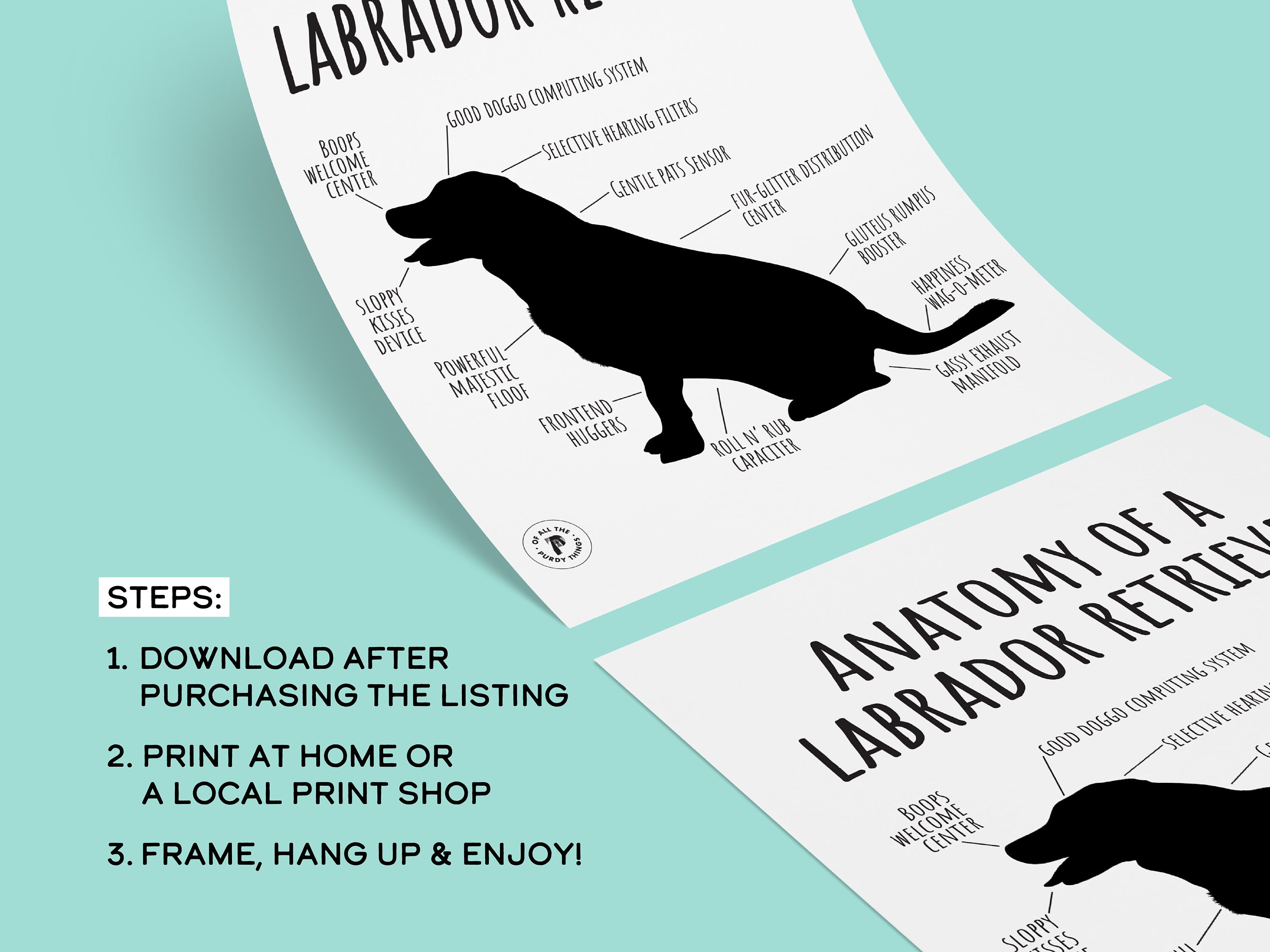 Digital Download, Anatomy of a Labrador Retriever Sign, 8x10, Lab Dog ...