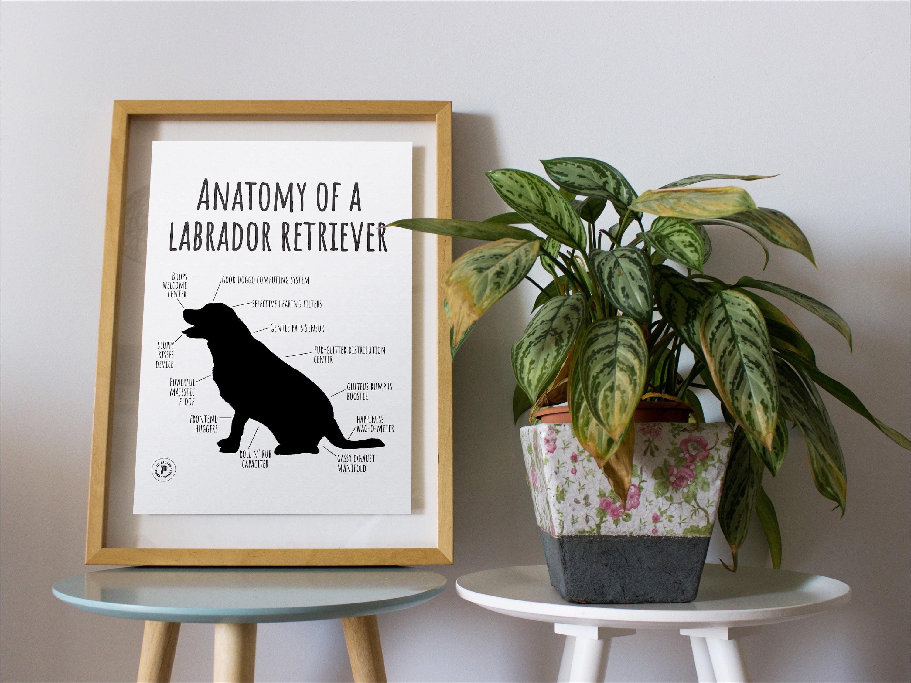 Digital Download Anatomy of a Labrador Retriever Sign 8x10 - Etsy Australia